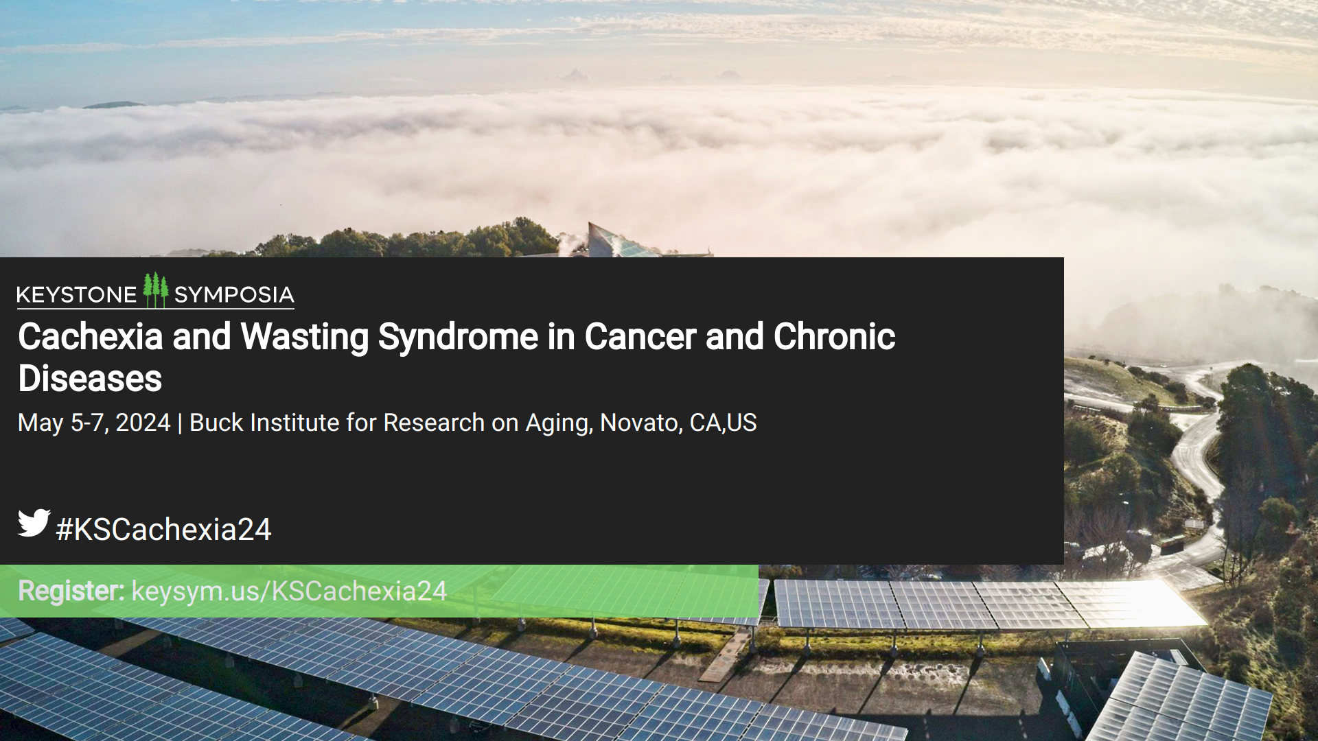 Cachexia and Wasting Syndrome in Cancer and Chronic Diseases | Keystone ...